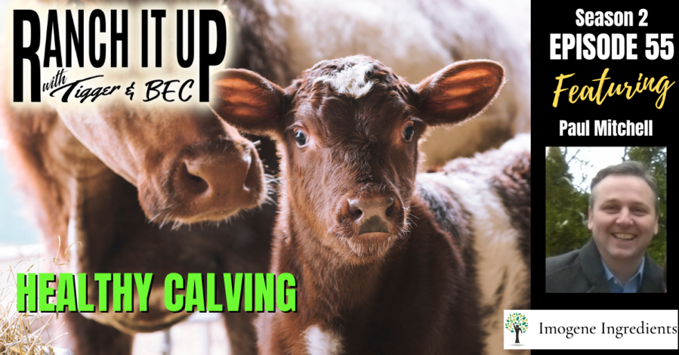 Calfhood Health, Scour Control, & Lots More! - Ranch It Up Radio Show