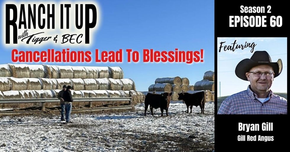 Cancellations Lead to Blessings, Xmas Memories, Markets & More! - Ranch ...