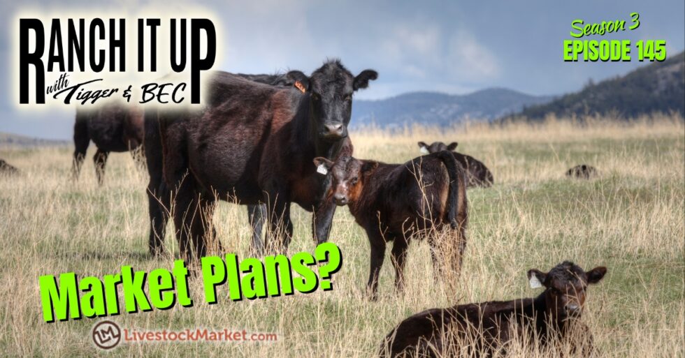 What Are Your Marketing Plans? - Ranch It Up Radio Show