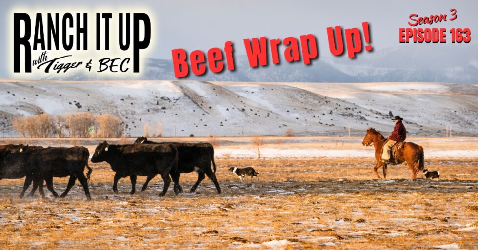 More Questions Answered About Scours & Coccidiosis - Ranch It Up Radio Show
